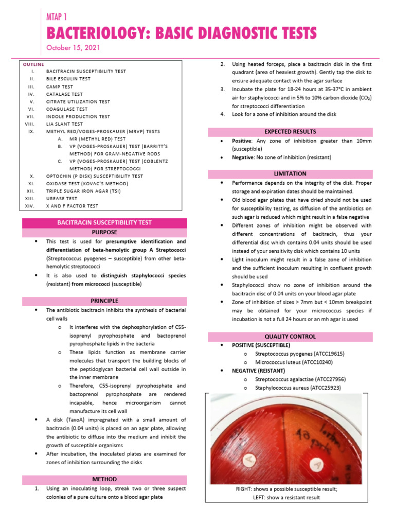 BACTE | PDF | Streptococcus | Microbiology