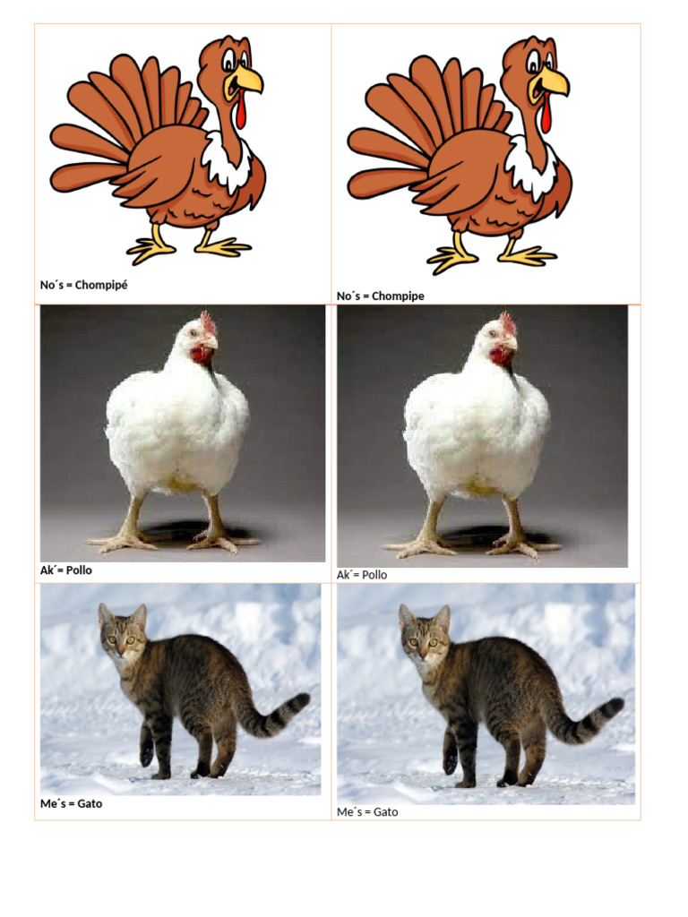Animal Names Translation Guide | PDF