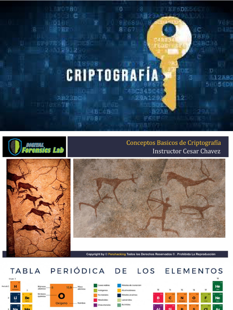 Conceptos Basicos de Criptografia | PDF