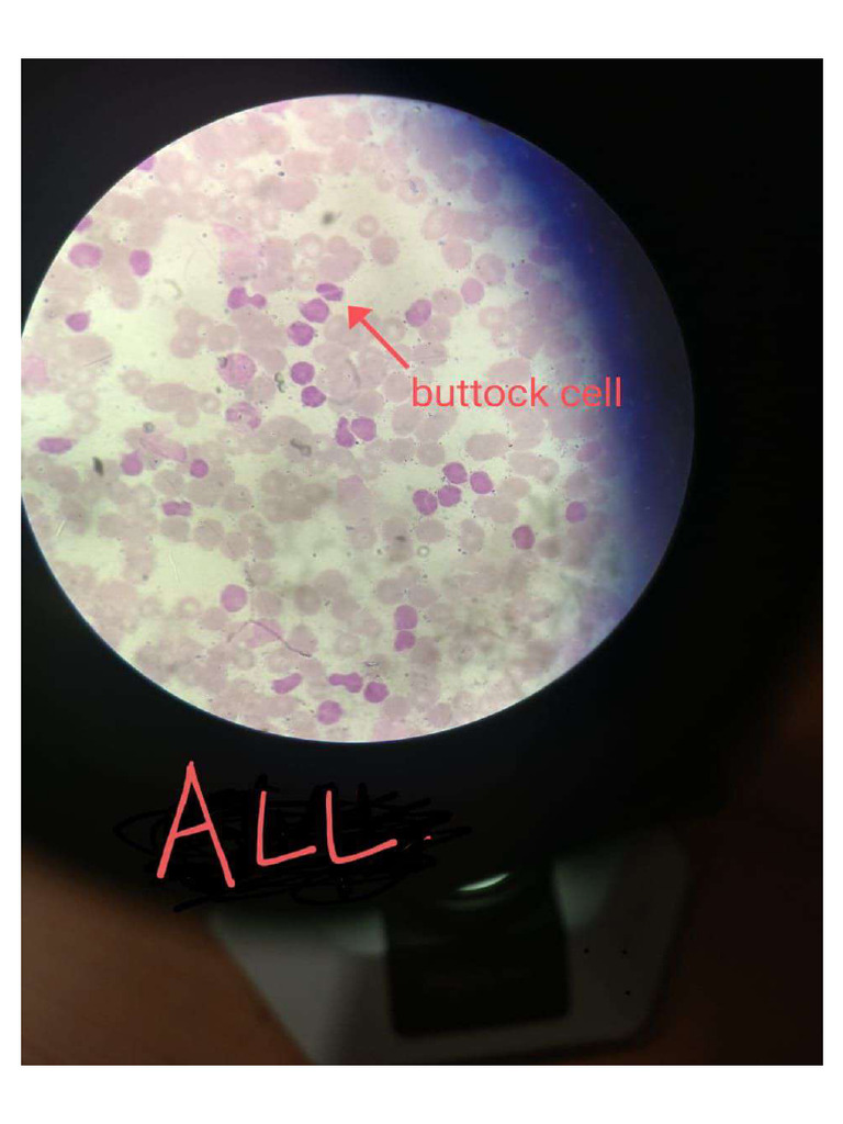 histopath pdf compressed (1) | PDF