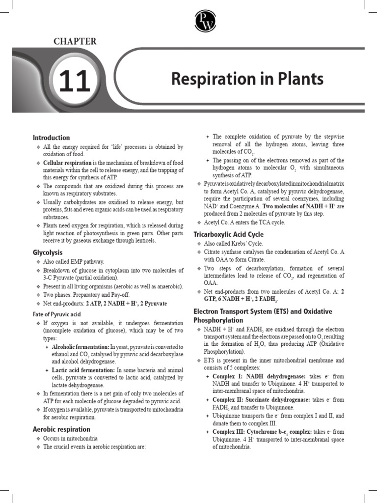 Respiration in Plants Short Notes | PDF | Cellular Respiration ...