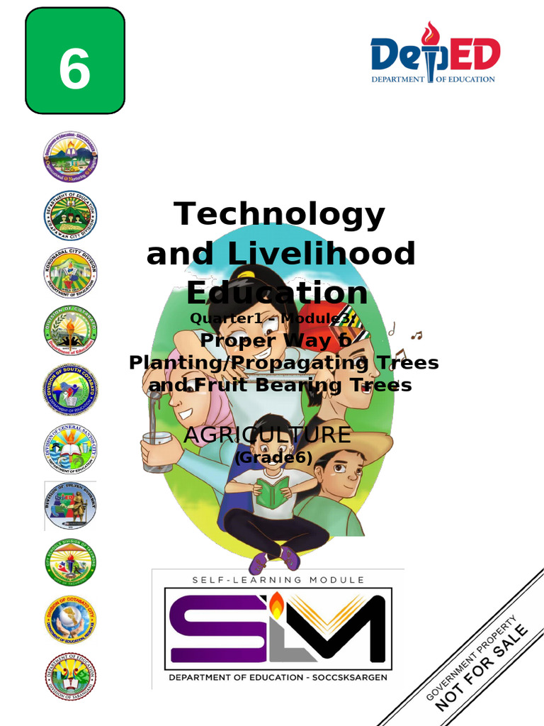 Grade 6 Agriculture: Planting Fruit Trees | PDF | Grafting | Trees