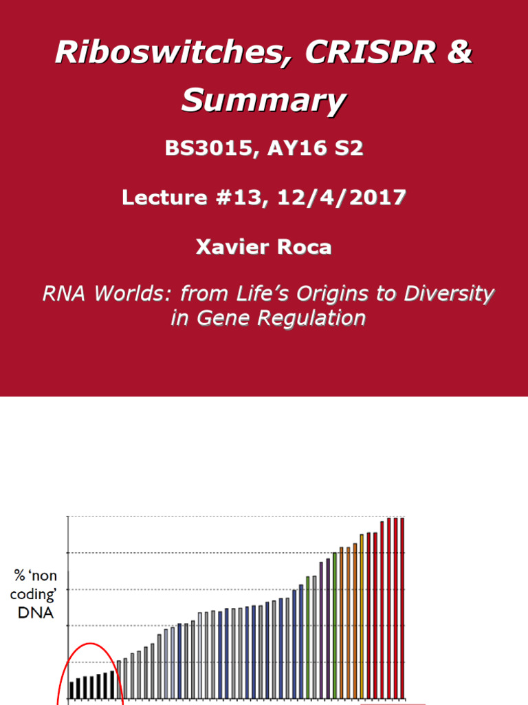 The RNA World 13th Lect Riboswitch Crispr Summary AY16 2017 | PDF ...