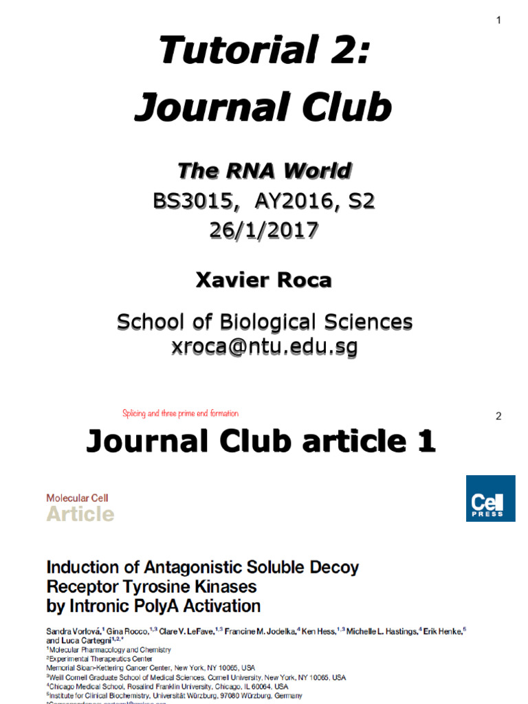 RNA Splicing and Cancer Therapy Insights | PDF | Messenger Rna | Open ...