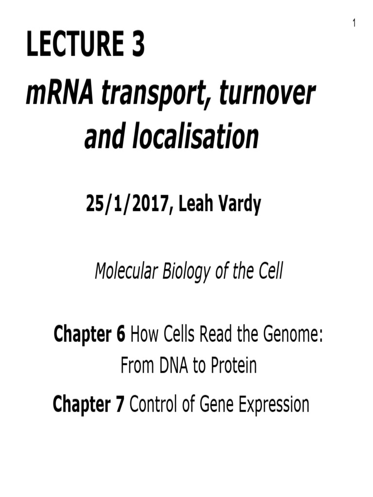 The RNA World 3rd Lect mRNA Export Turnover Localization LV AY16 2017-1 ...