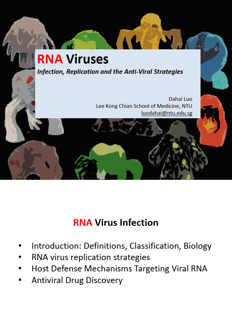 The RNA World 6th Lect RNA Viruses LD AY16 2017 | PDF | Virus | Rna