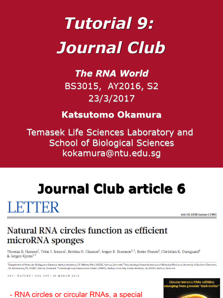 The RNA World 9th Tut JC AY16 | PDF | Micro Rna | Rna