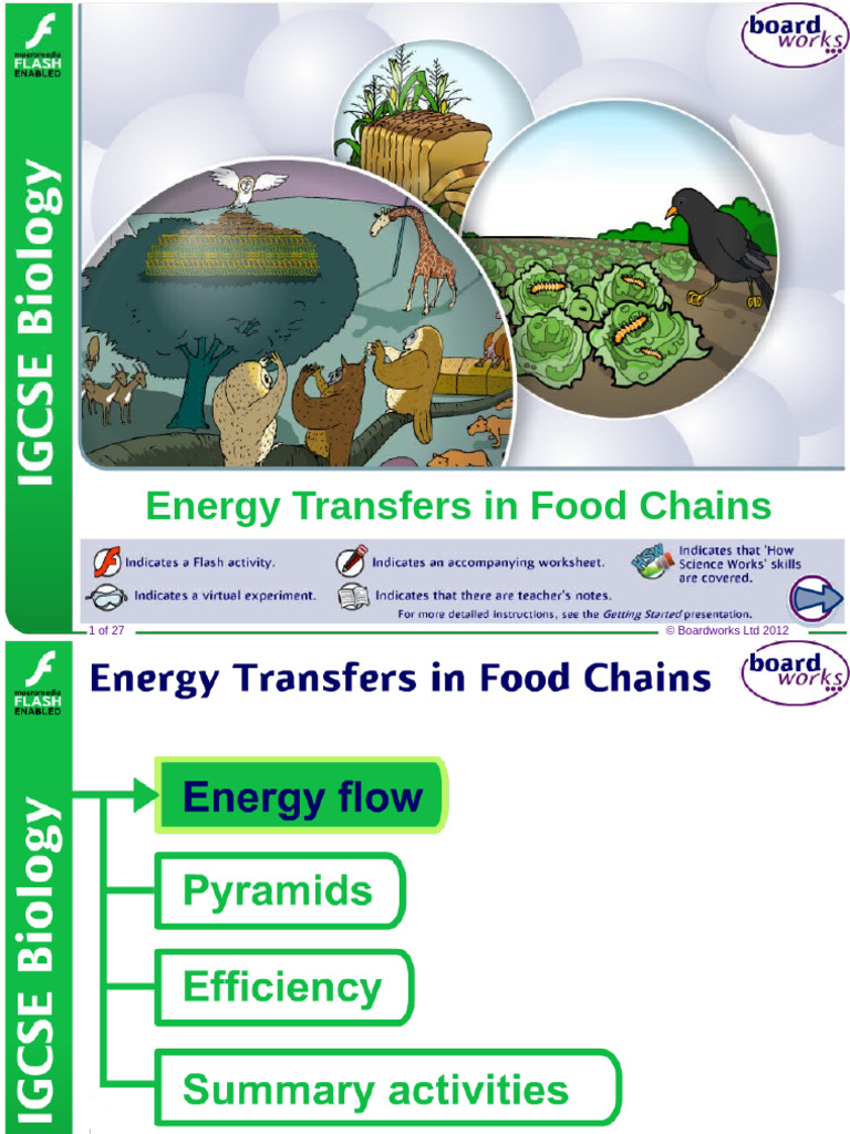 Energy Transfer in Food Chains Explained | PDF | Food Web | Biomass ...