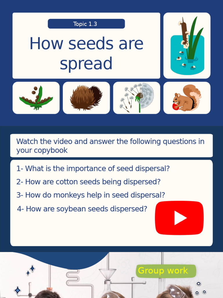 Topic 1.3 Seed Dispersal | PDF | Seed | Fruit