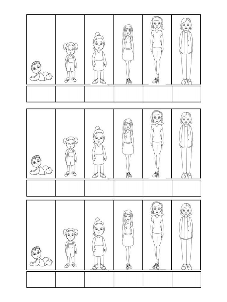 Human Life Cycle Girl | PDF