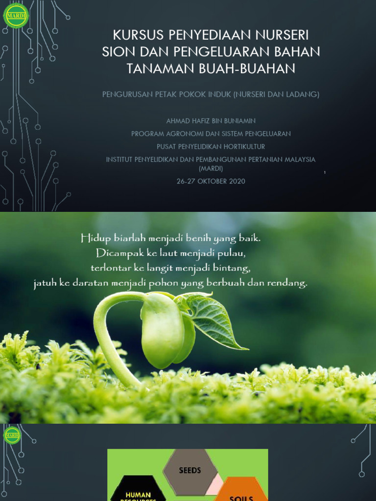 Pengurusan Petak Pokok Induk | PDF