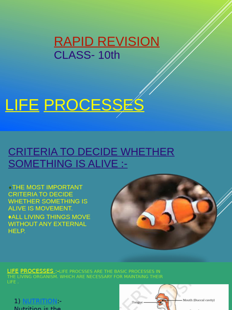 Class 10 Life Processes Overview | PDF | Digestion | Cellular Respiration