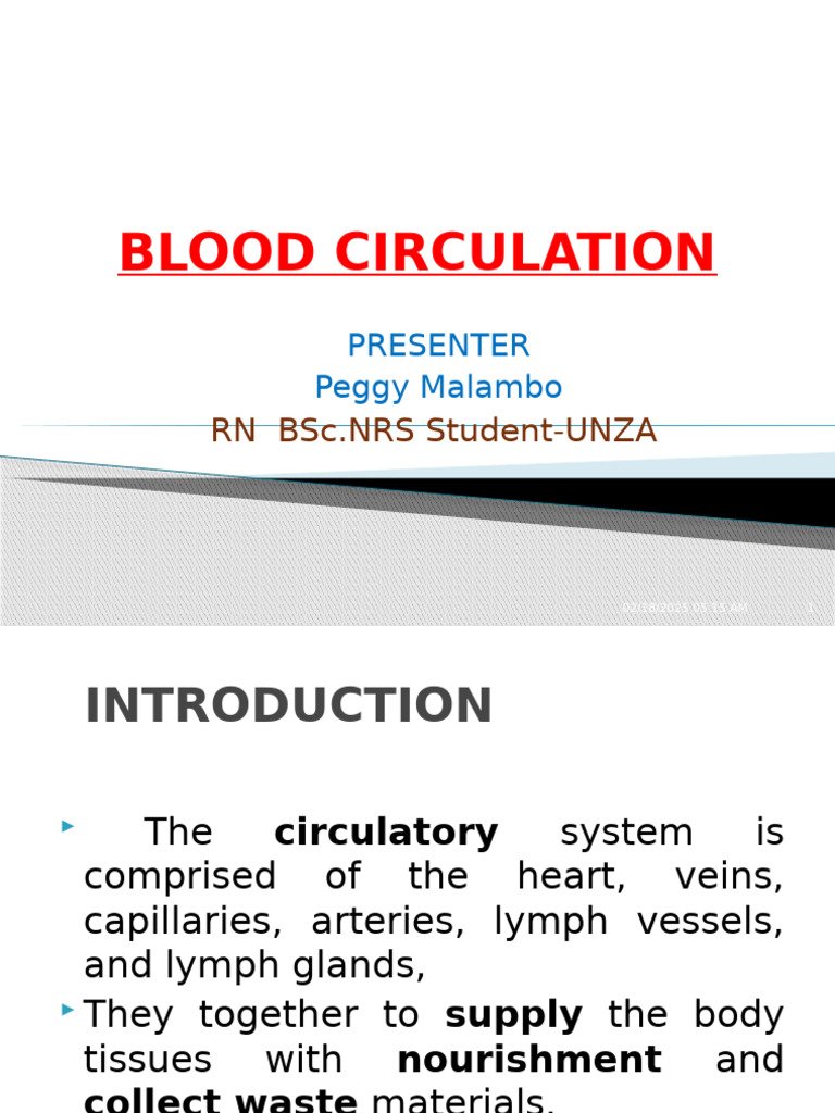 Understanding Blood Circulation Systems | PDF | Circulatory System | Vein