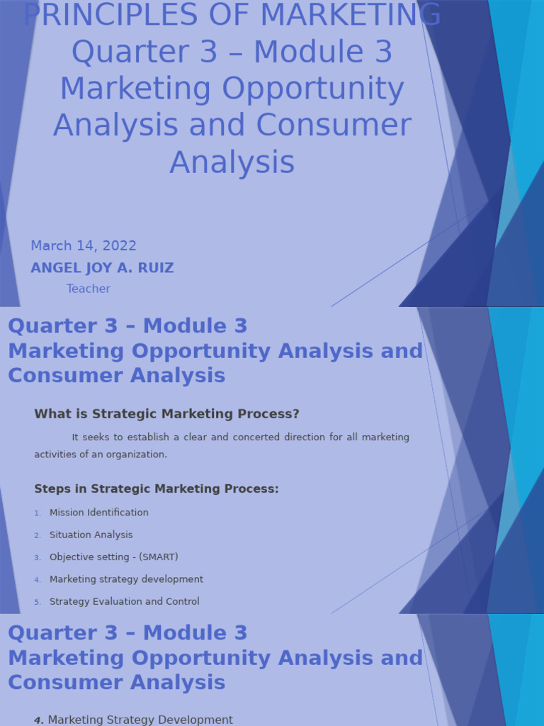 Principles of Marketing Module 3 | PDF