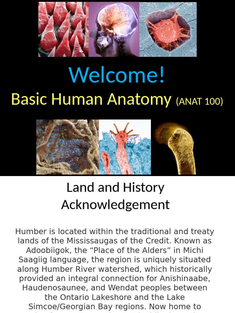 Intro to Human Anatomy Course Guide | PDF | Anatomical Terms Of ...