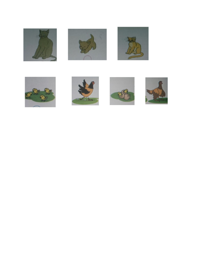 Tugas Stoner | PDF