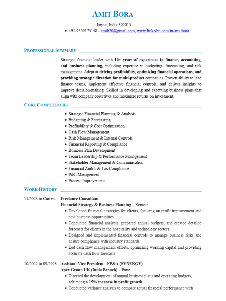 Amit Bora Resume2 | PDF | Budget | Internal Control