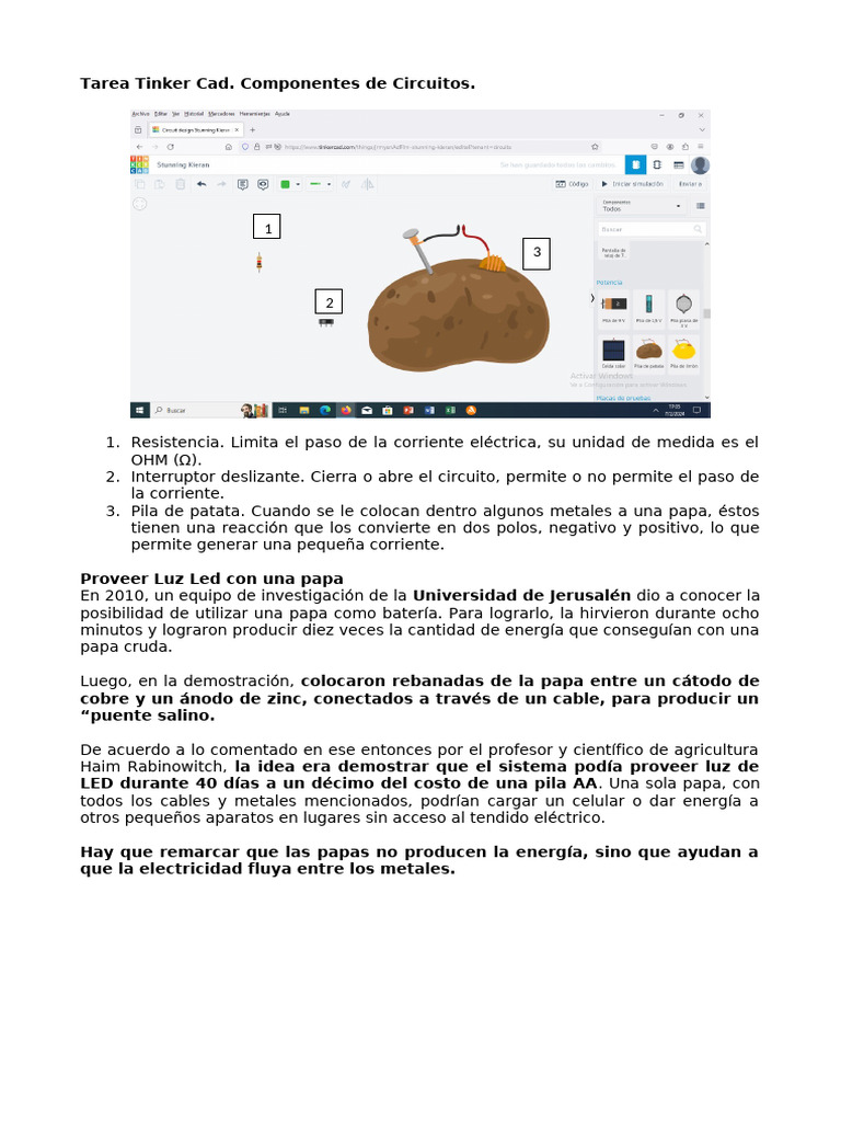 Tarea Tinker Cad Circuito Papa | PDF