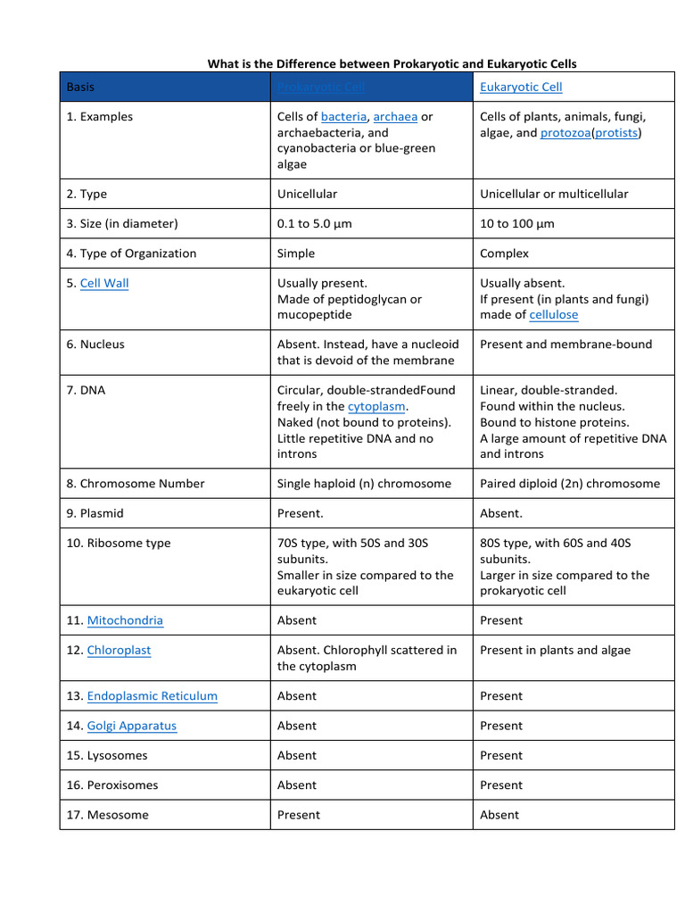 Prokaryotic vs Eukaryotic Cells Explained | PDF | Cell (Biology ...