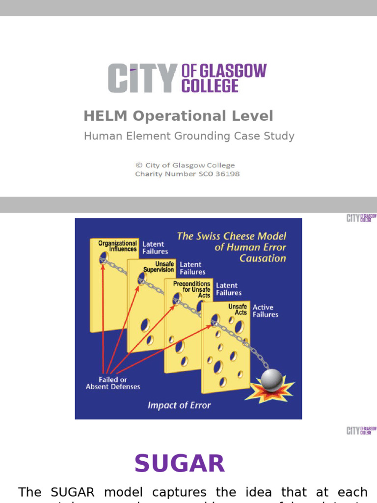 HELM (O) Case Study Grounding | PDF | Knowledge | Cognitive Science