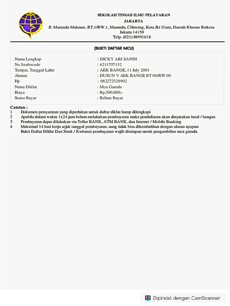 Invoice Mcu, Dicky Ari Sandi | PDF