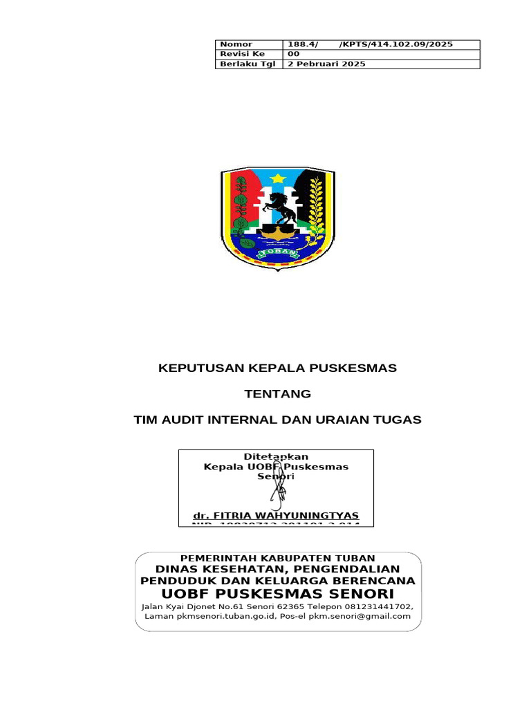 Keputusan Tim Audit Internal Puskesmas | PDF