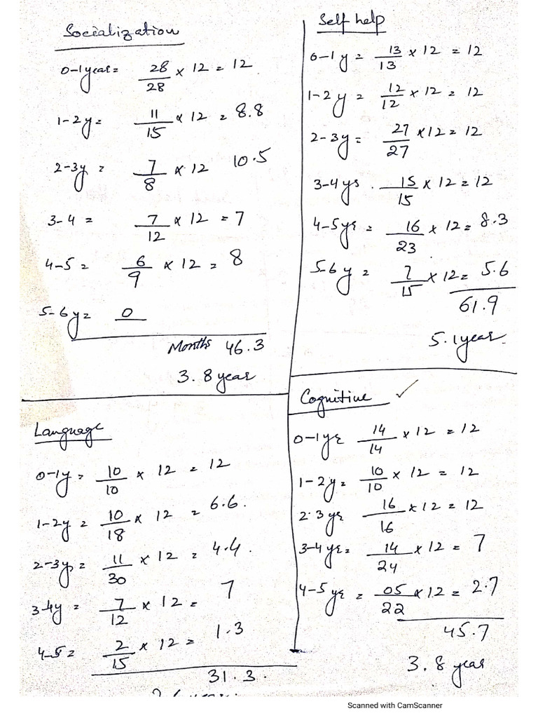 Portage Scoring | PDF