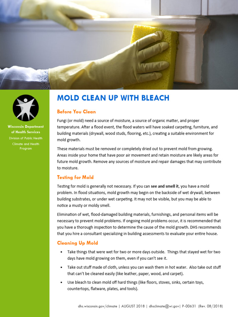 Mold Clean Up With Bleach | PDF | Mold | Bleach