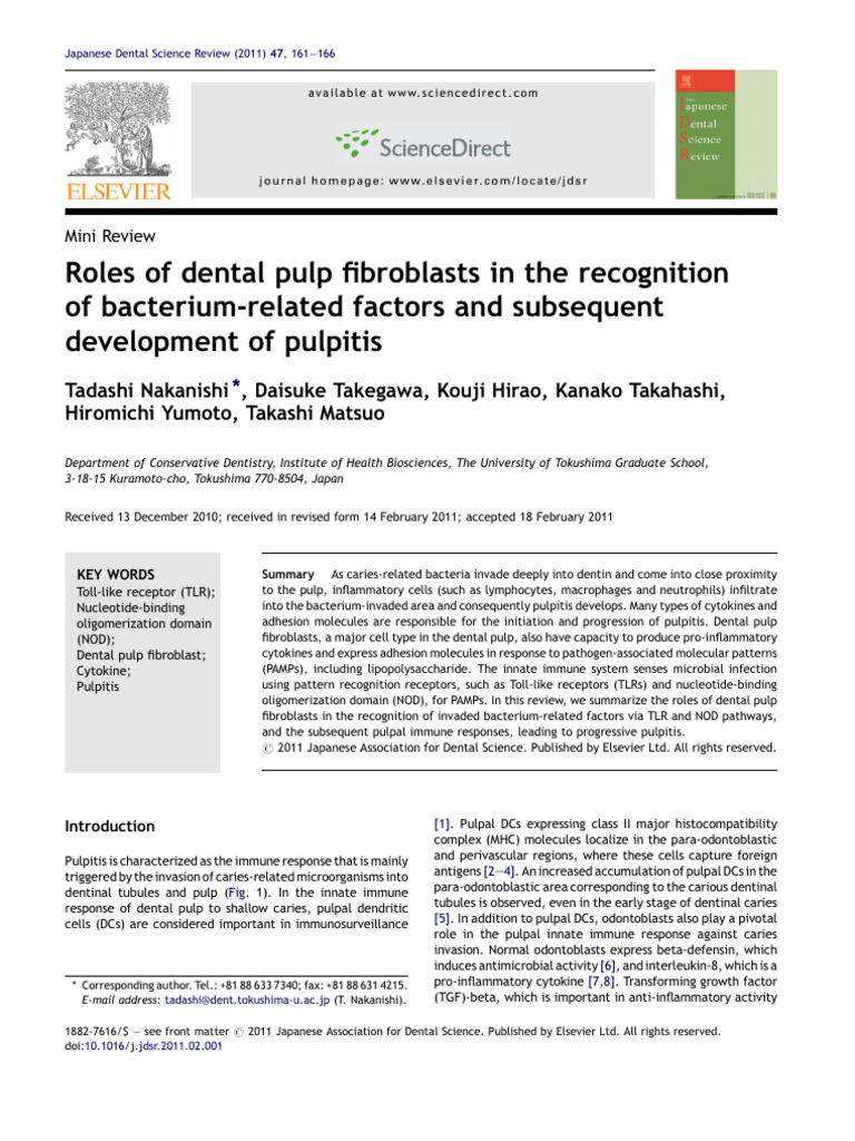 Roles of Dental Pulp Fibroblasts in The Recognition of B 2011 Japanese ...