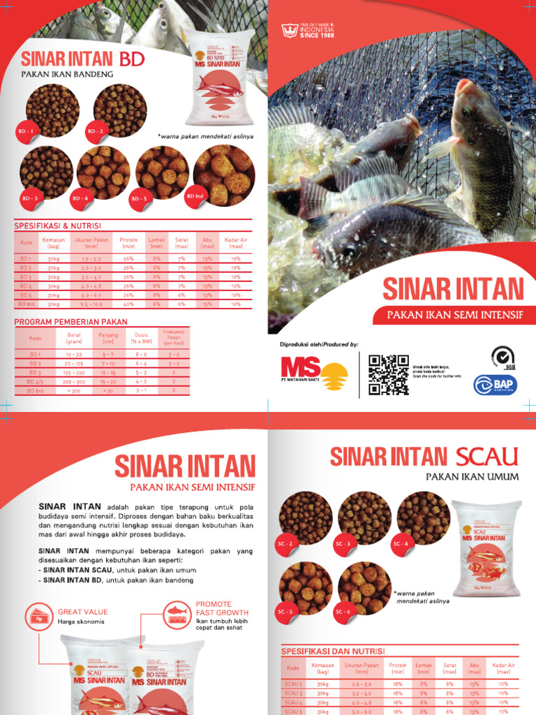 All Sinar Intan | PDF