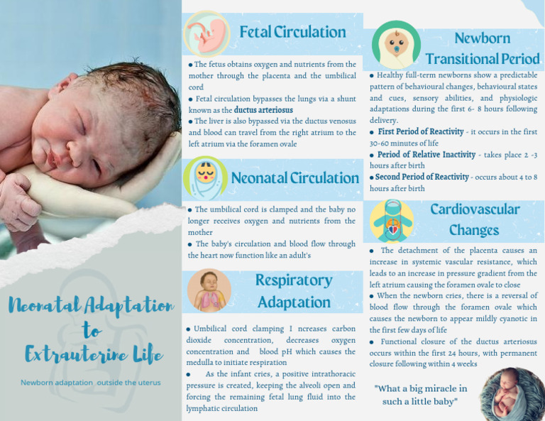 NB Adjust To Extrauterine Life | PDF | Fetus | Cardiovascular System