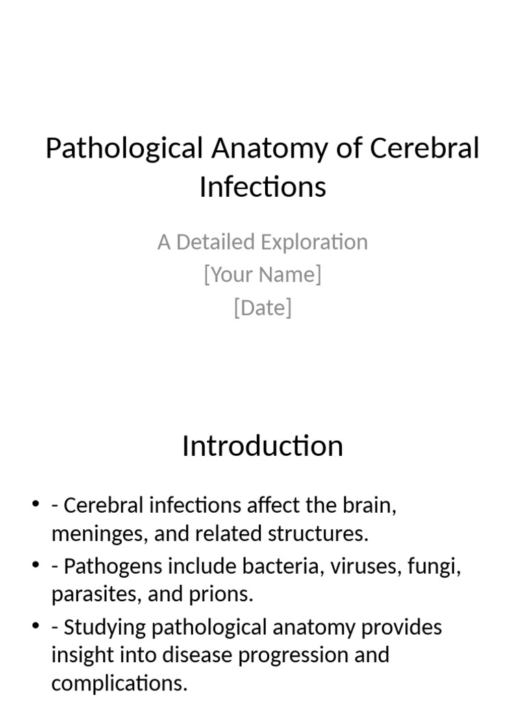 Pathological Anatomy of Cerebral Infections | PDF | Meningitis | Infection