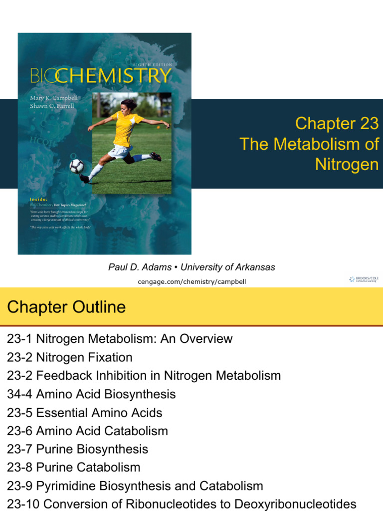 Nitrogen Metabolism and Amino Acid Synthesis | PDF | Nucleotides ...