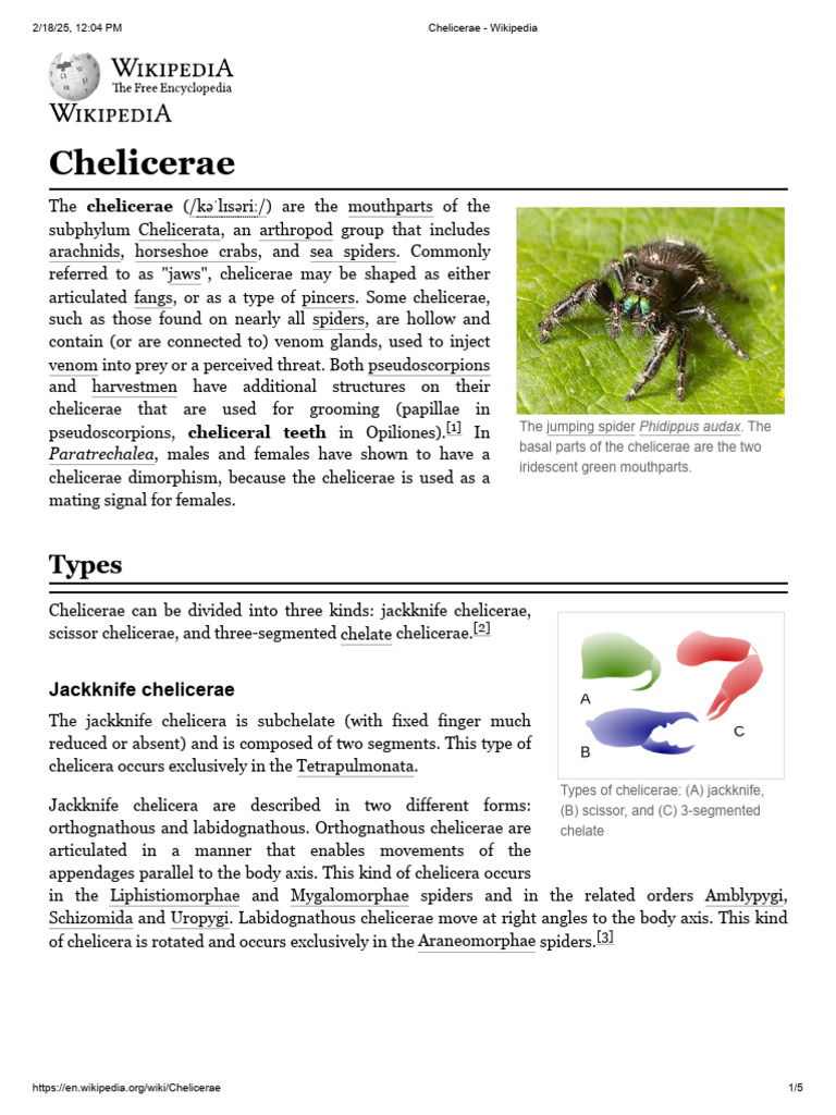 Chelicerae - Wikipedia | PDF | Arthropods | Arthropodology