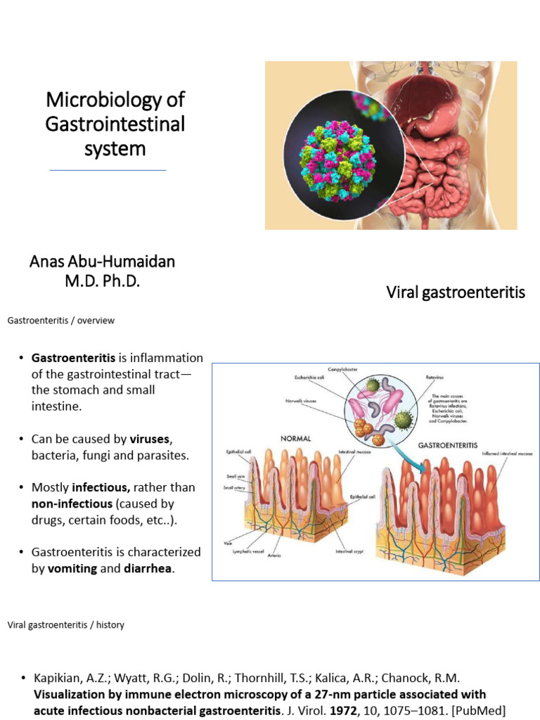 Viral Gastroenteritis PDF | PDF | Diarrhea | Infection