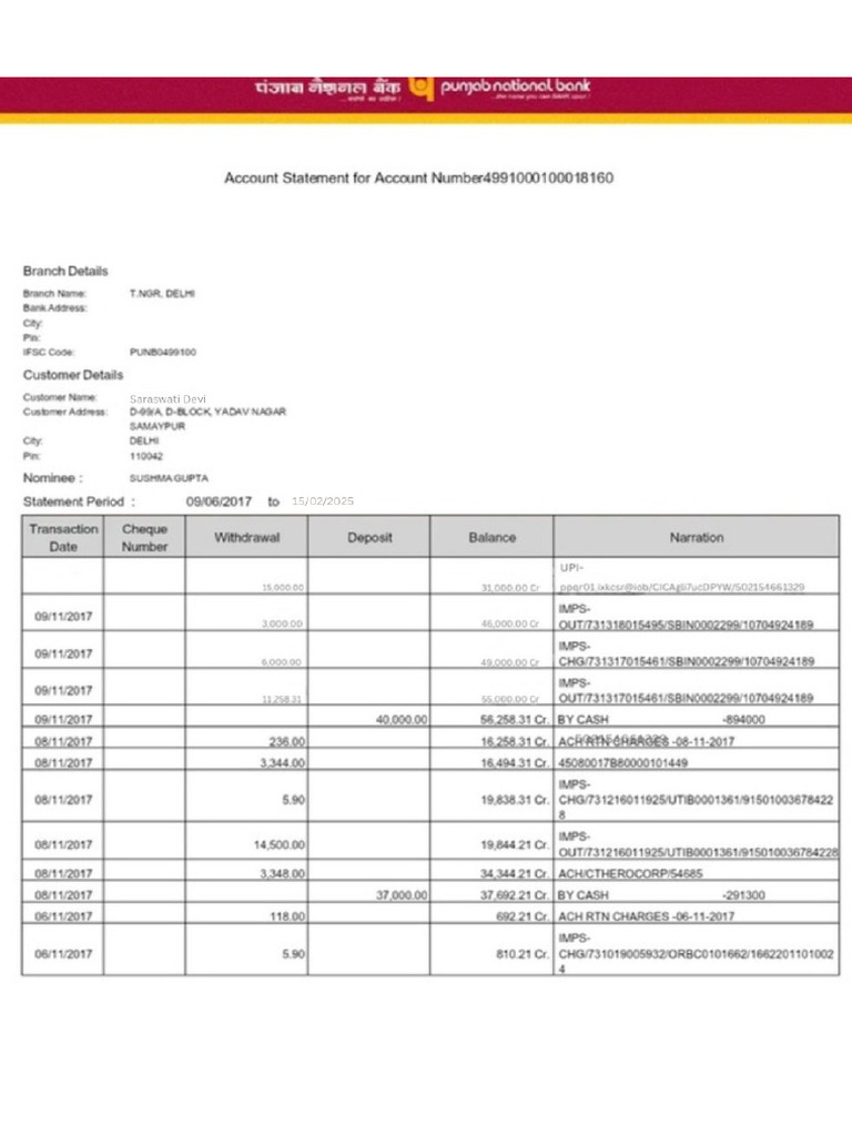 Bank Statement PNB | PDF