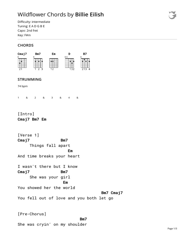 Wildflower Chords by Billie Eilishtabs at Ultimate Guitar Archive | PDF