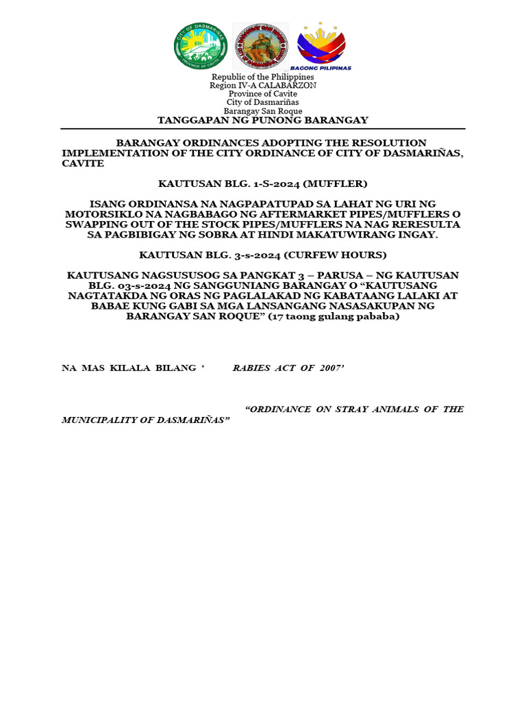 Lay Out Barangay Ordinance For Tarp | PDF