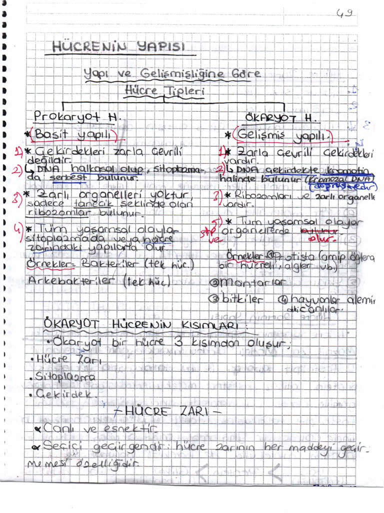 2.H%C3%9CCREN%C4%B0N%20YAPISI-%C3%96KARYOT%20H%C3%9CCRE-H.ZARI | PDF