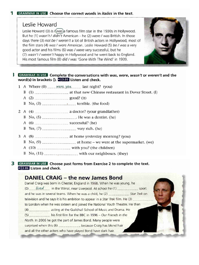 Arina Past Simple | PDF