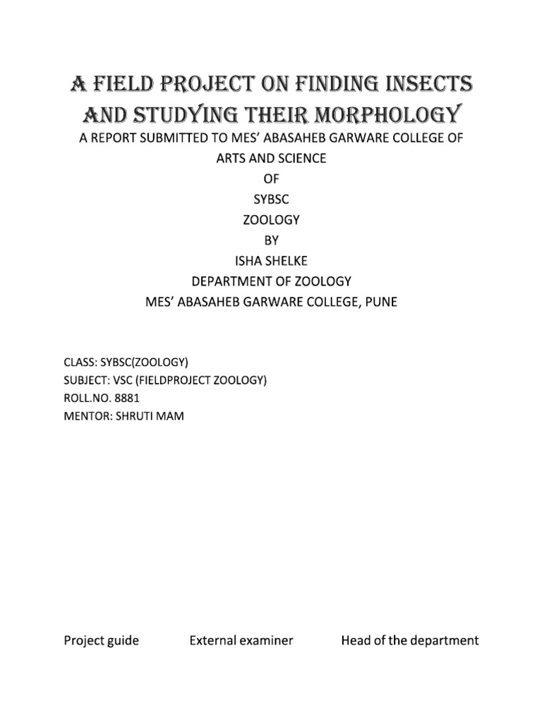 Field Project of Insects | PDF