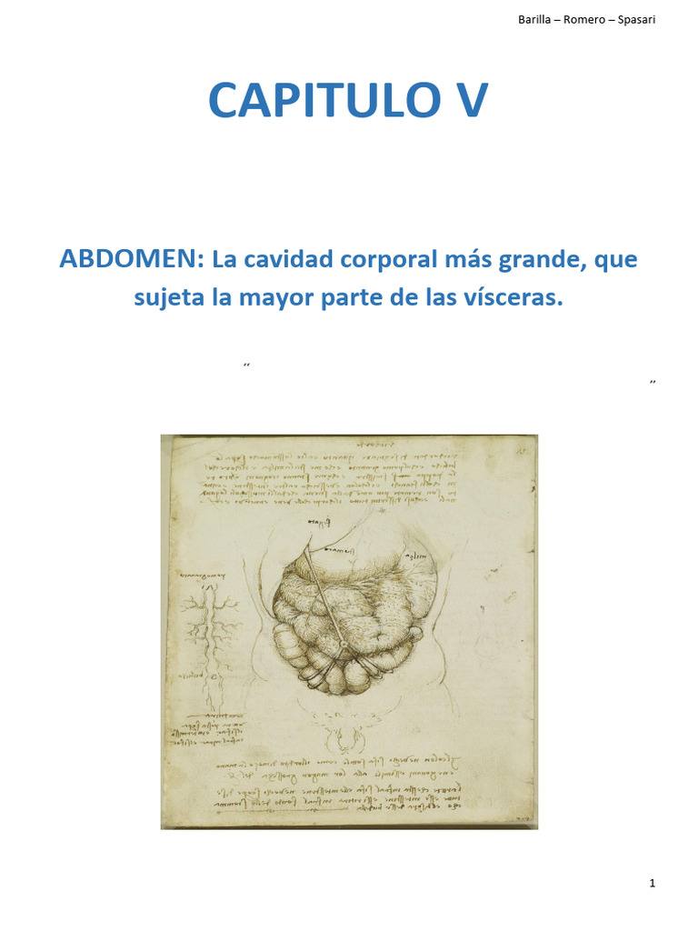 Anatomía Del Abdomen y Del Aparato Digestivo | PDF | Abdomen | Tracto ...