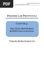 Interpreting Gel Electrophoresis Results | PDF | Gel Electrophoresis ...