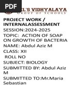 Abx Wheel | PDF
