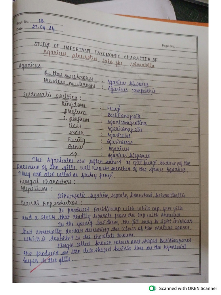 Pathology 12th Exercise | PDF