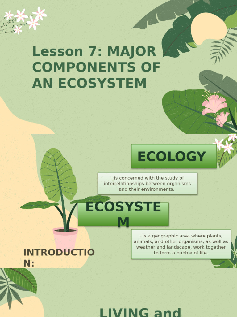 GROUP 4- Major Components of an Ecosystem | PDF | Planets | Ecosystem