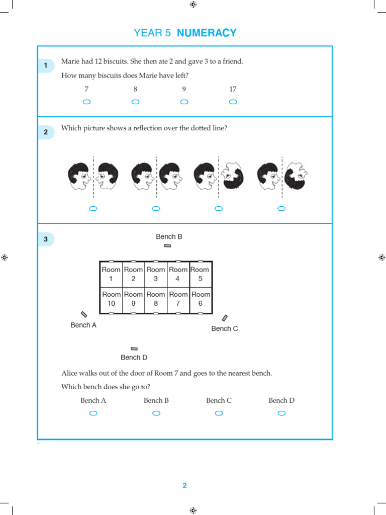 Year 5 Numeracy Practice Questions | PDF | Euclidean Geometry
