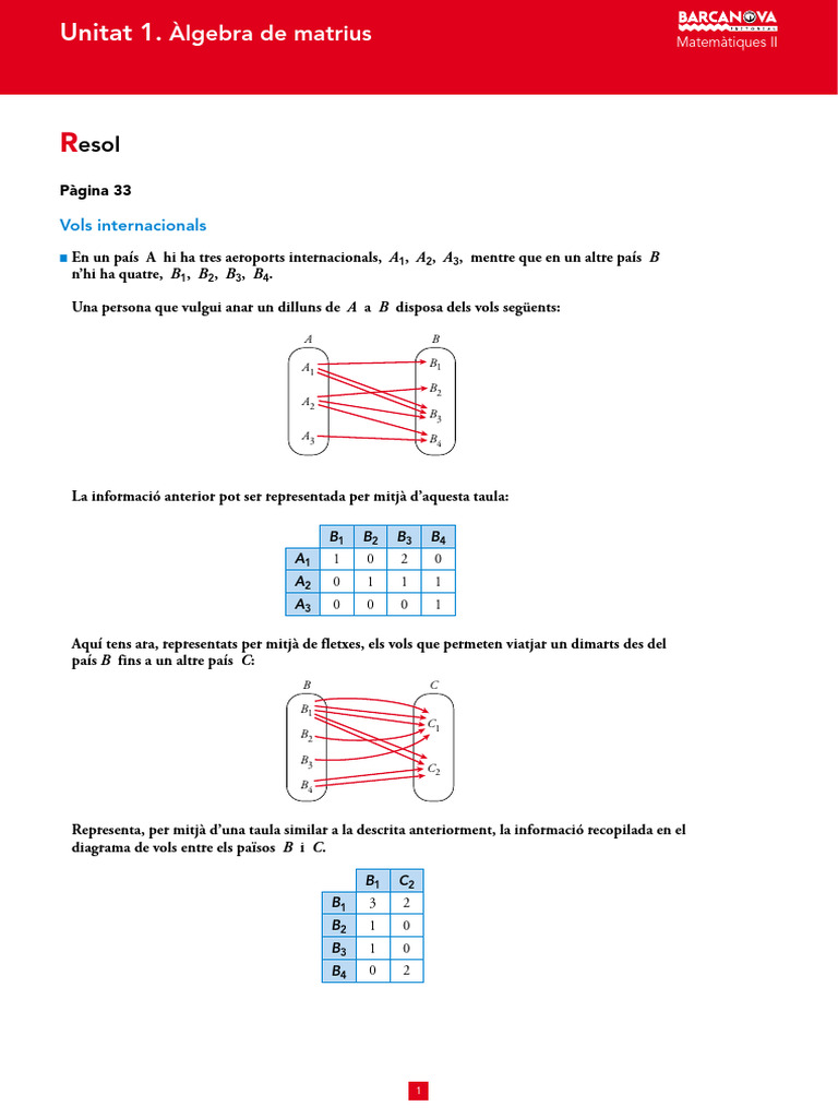(Exercicis + Problemes) Matrius (Resolts) | PDF