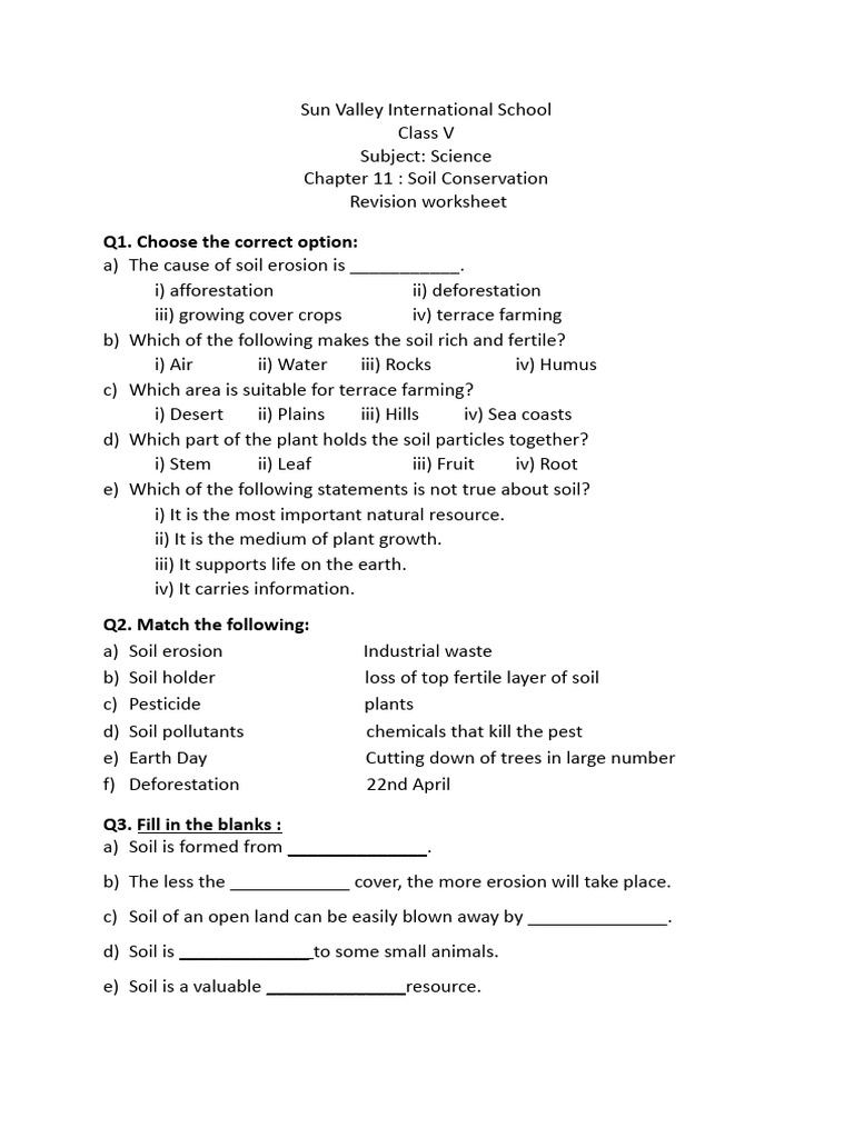 Science Revision Worksheet CH 11 | PDF