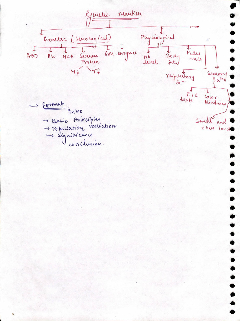 Anthropology 3 - Laghima Tiwari | PDF